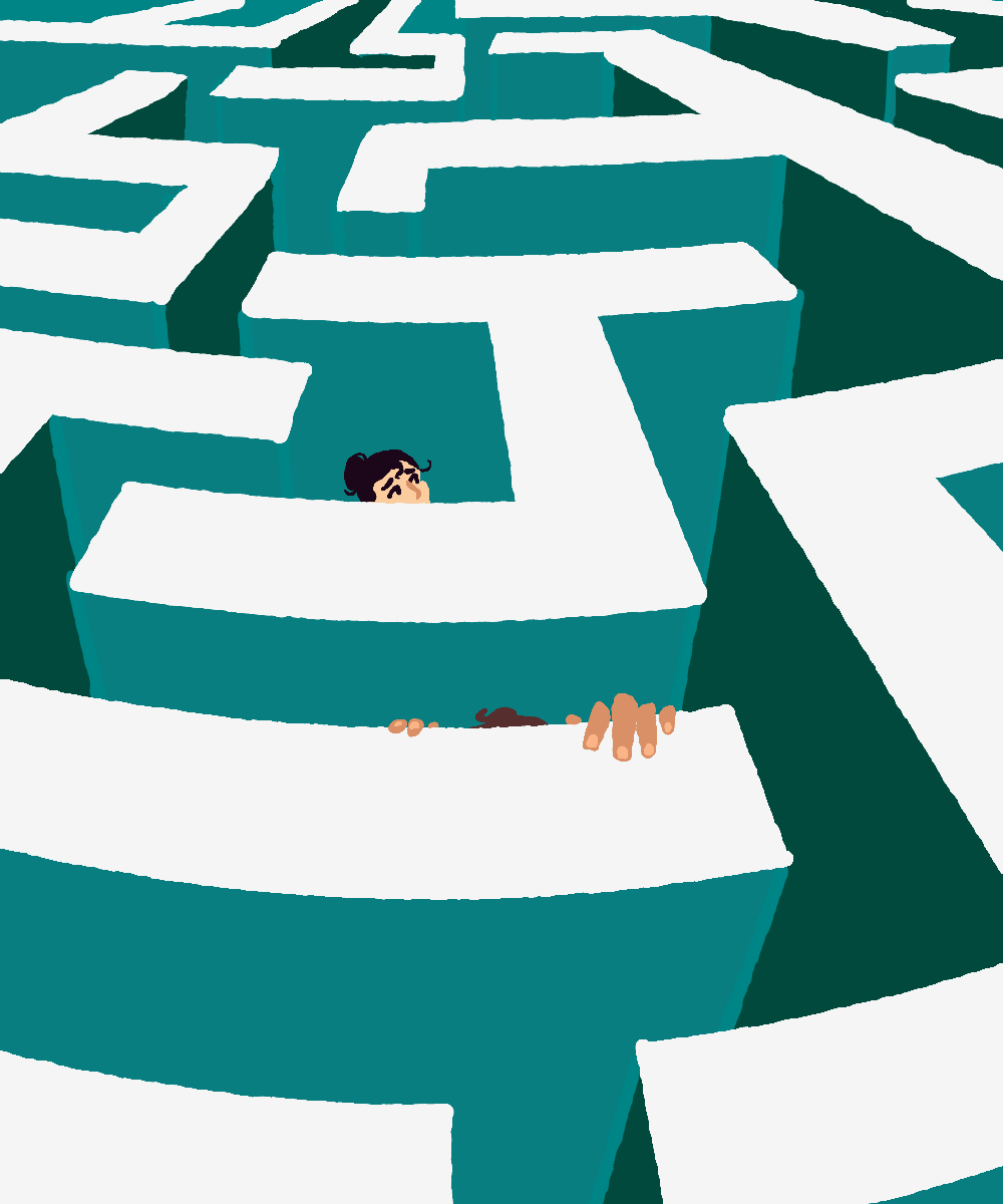 Illustrate a Story - Care Not Cages